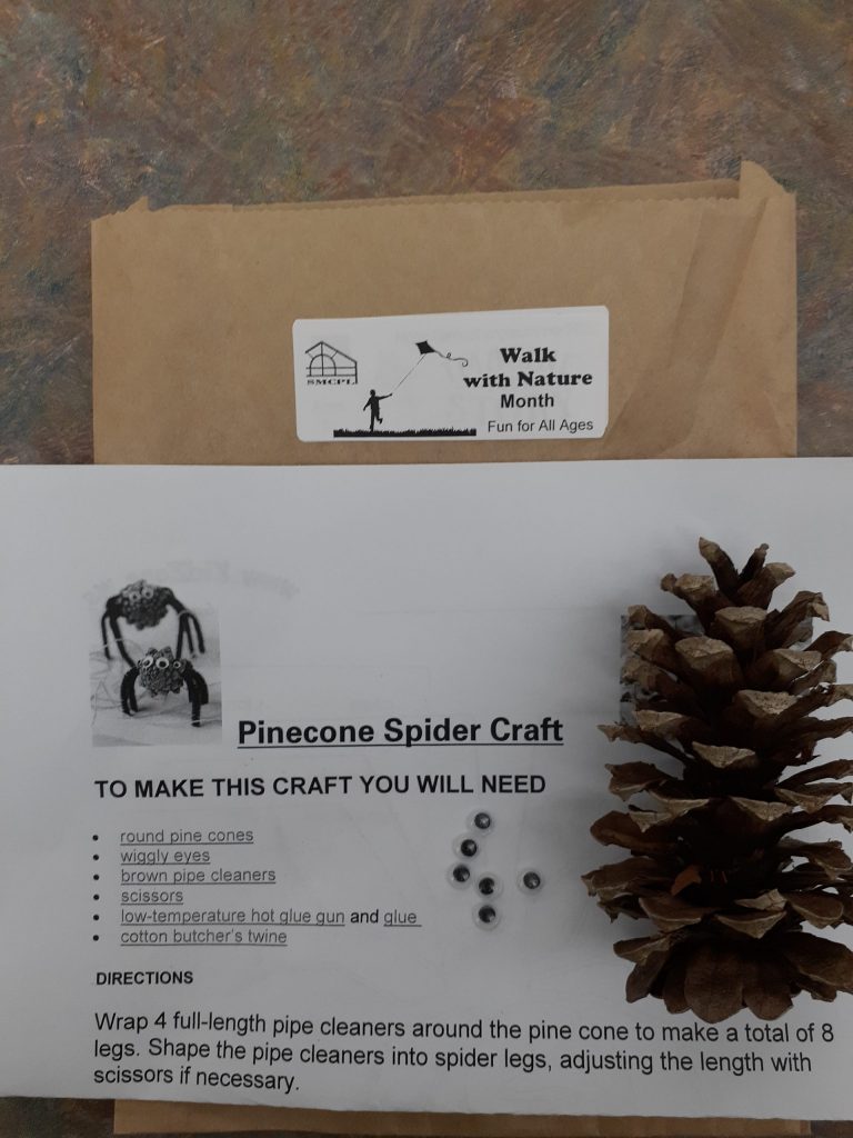 Walk with Nature Craft Kit - St. Marys Community Public Library