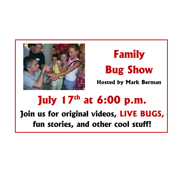 Family Bug Show - St. Marys Community Public Library